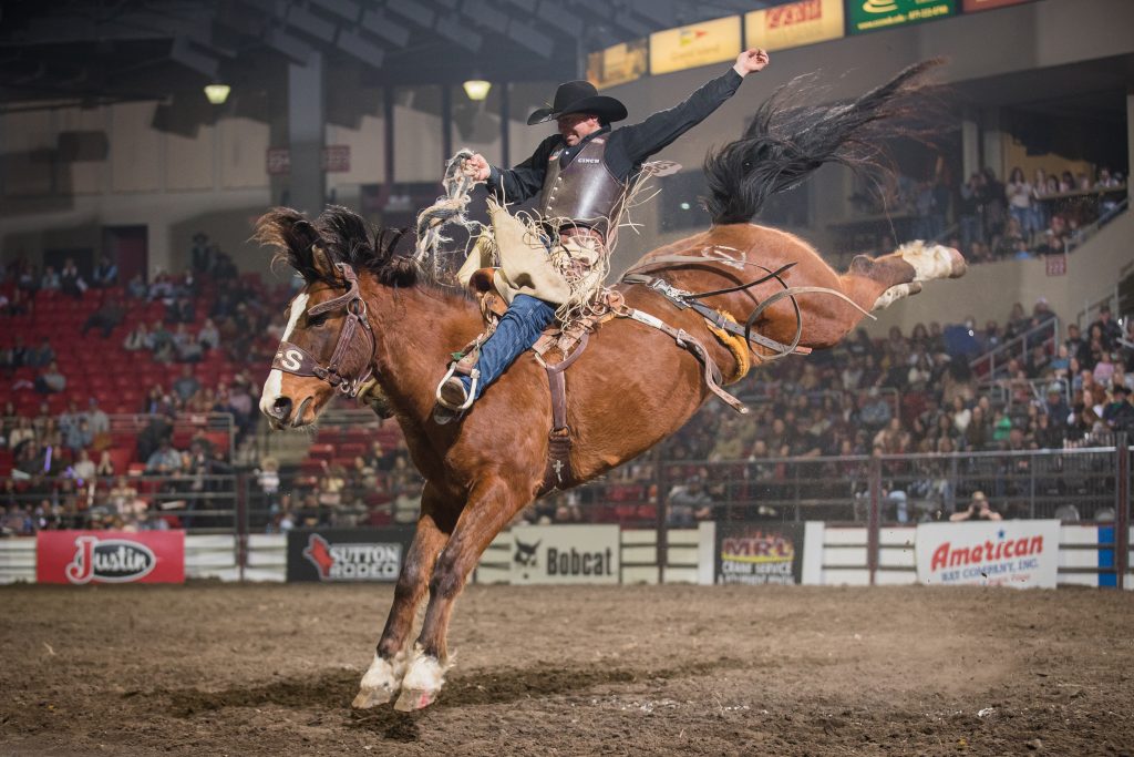2024 Black Hills Stock Show | Sutton’s South Point | TSLN.com