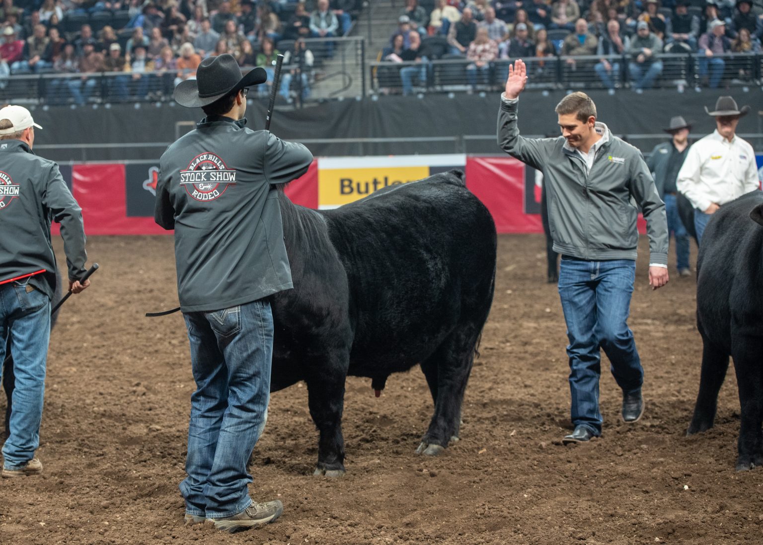 2024 Black Hills Stock Show | 2023 BHSS Supreme Champion Bull | TSLN.com