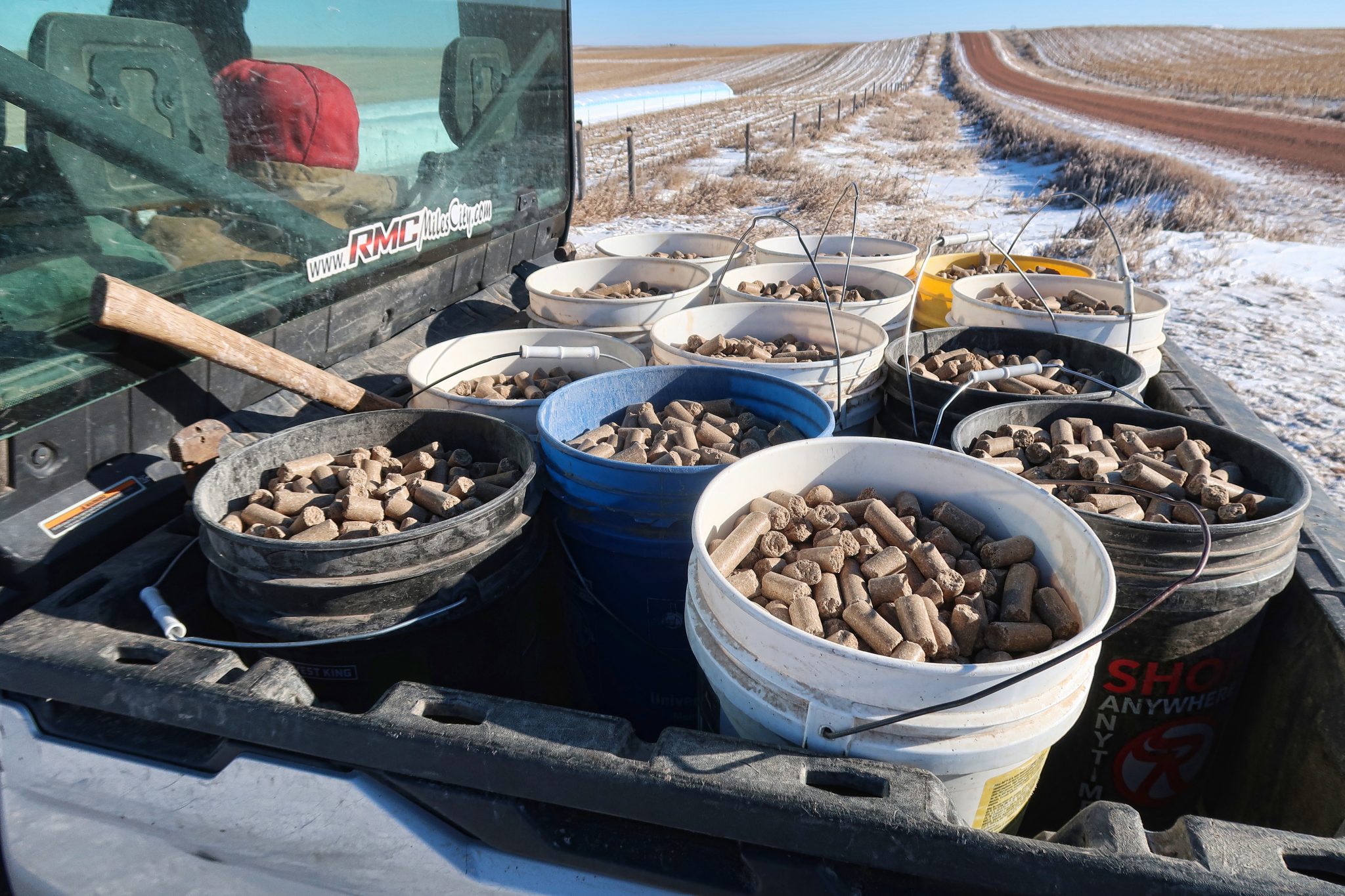 Faces of the Cold: Feeding Cattle at -40 Wind Chill, Wibaux County ...