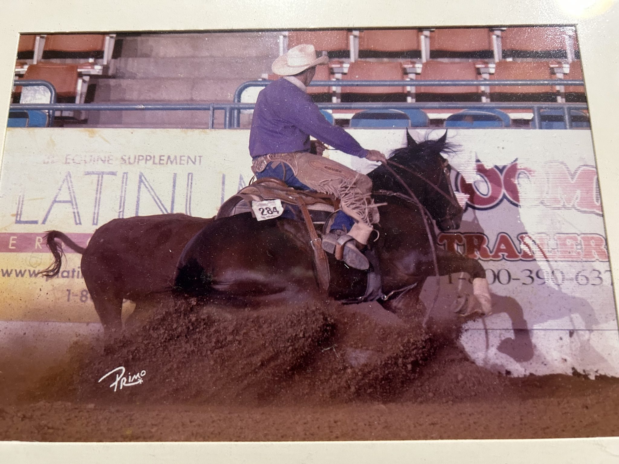 SDQHA Cow Horse Trainer of the Year Frank Kenzy | TSLN.com
