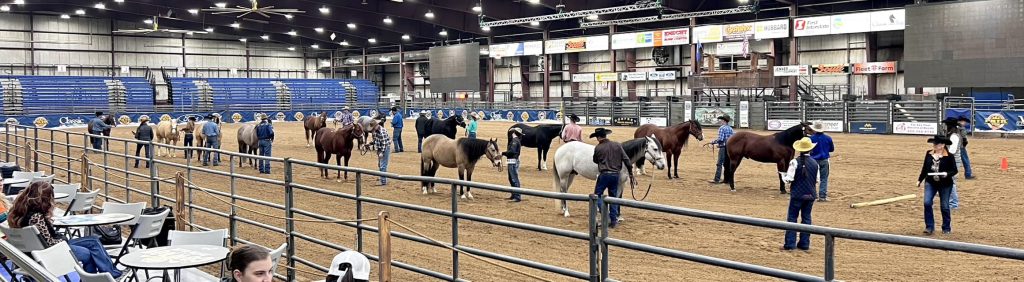 BHSS Horse Show photos | TSLN.com