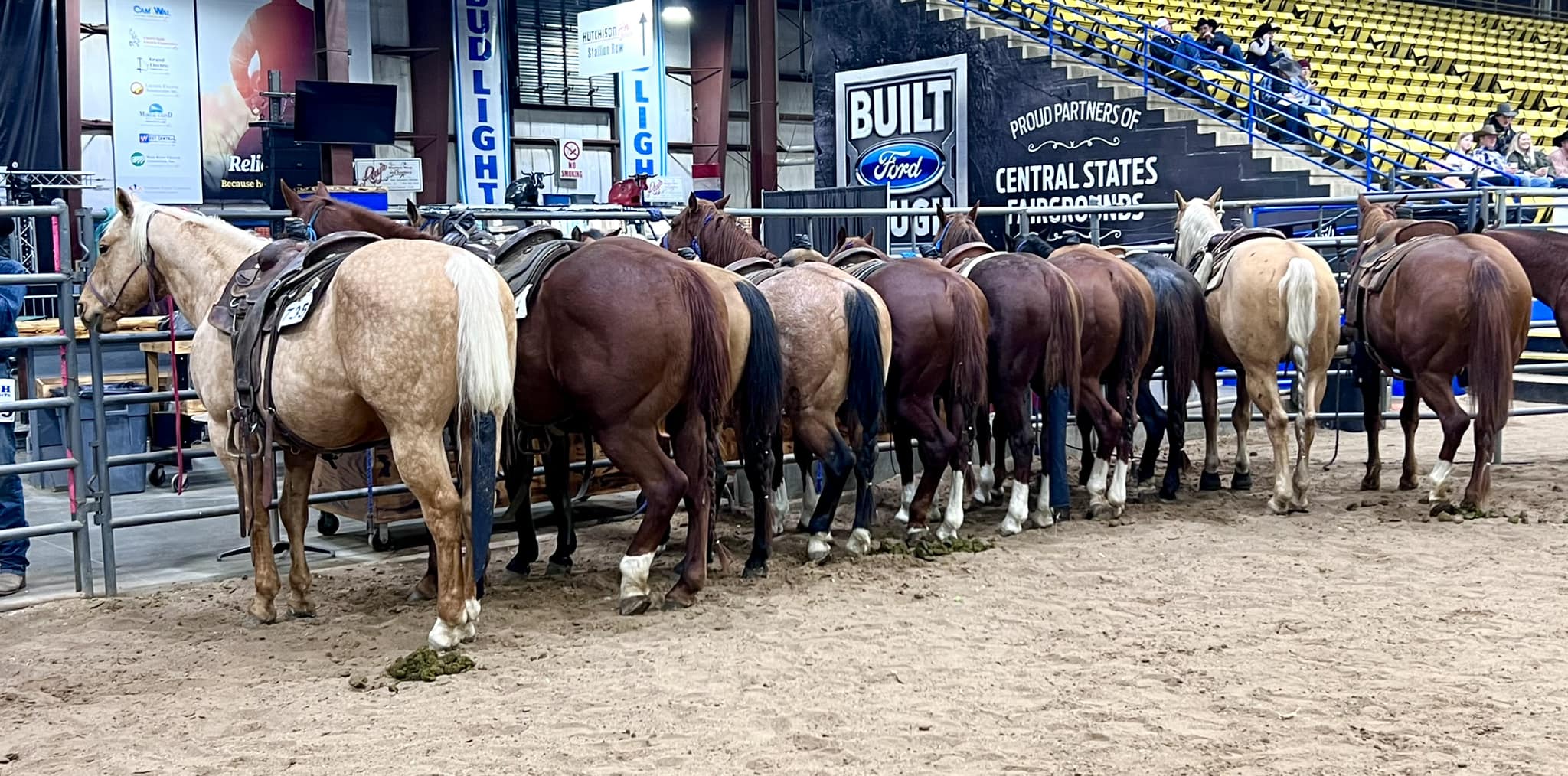BHSS Horse Show photos | TSLN.com