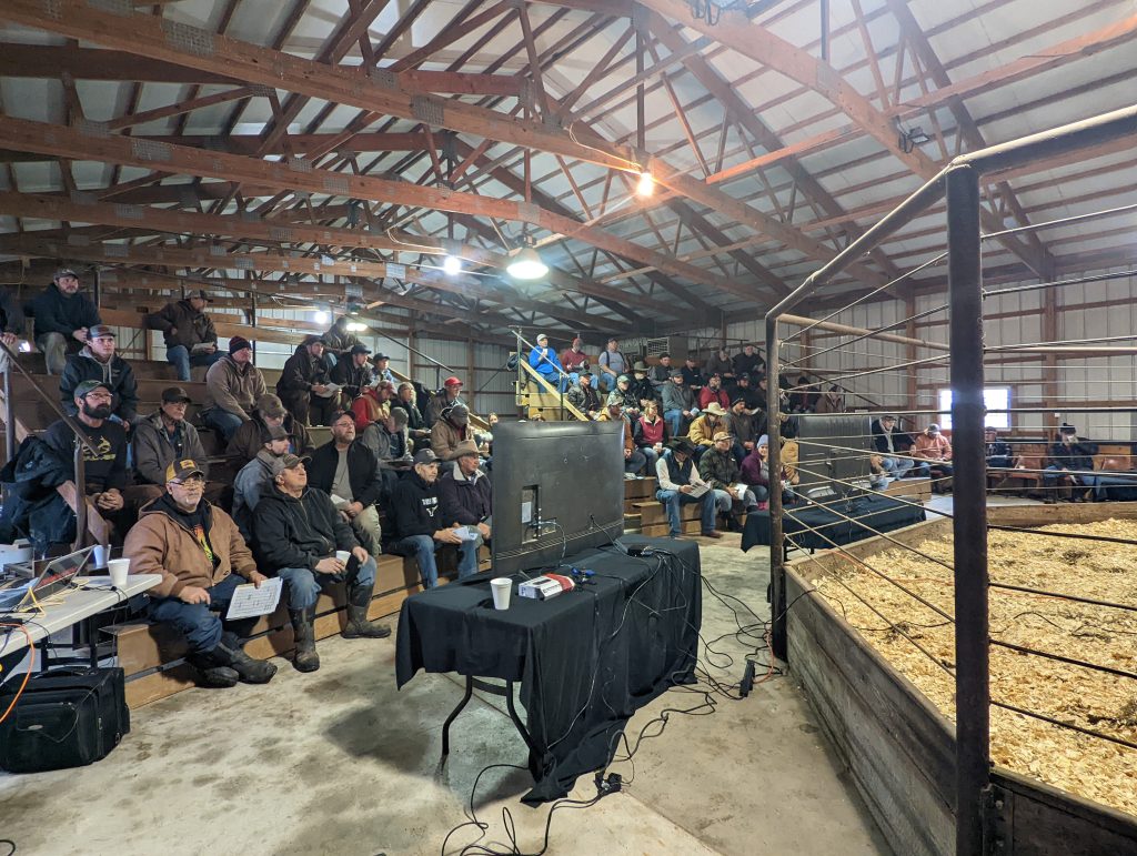 Carl Dethlefs & Sons Angus 56th Annual Production Sale | TSLN.com