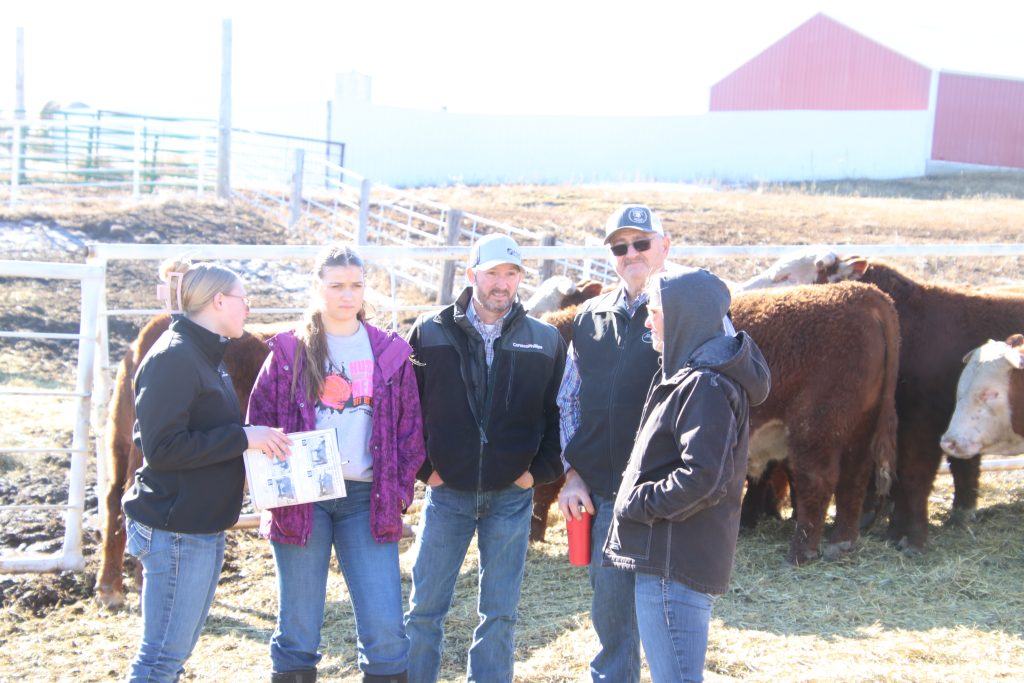 Stroh Herefords Sale Report | TSLN.com
