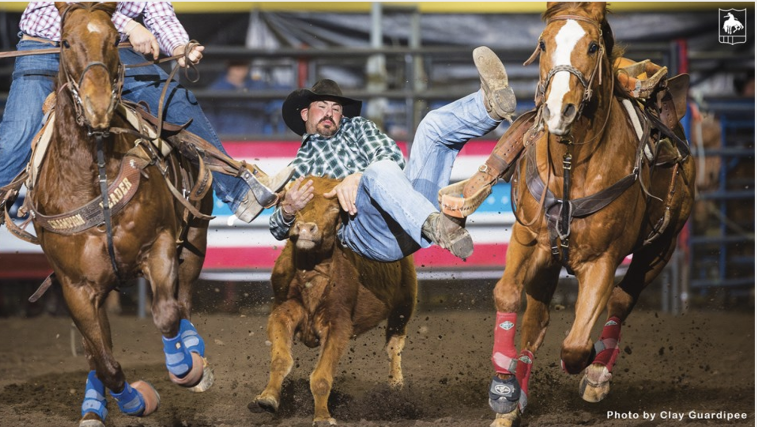 Steer wrestler Kyle Callaway overcomes brain cancer to rodeo again ...