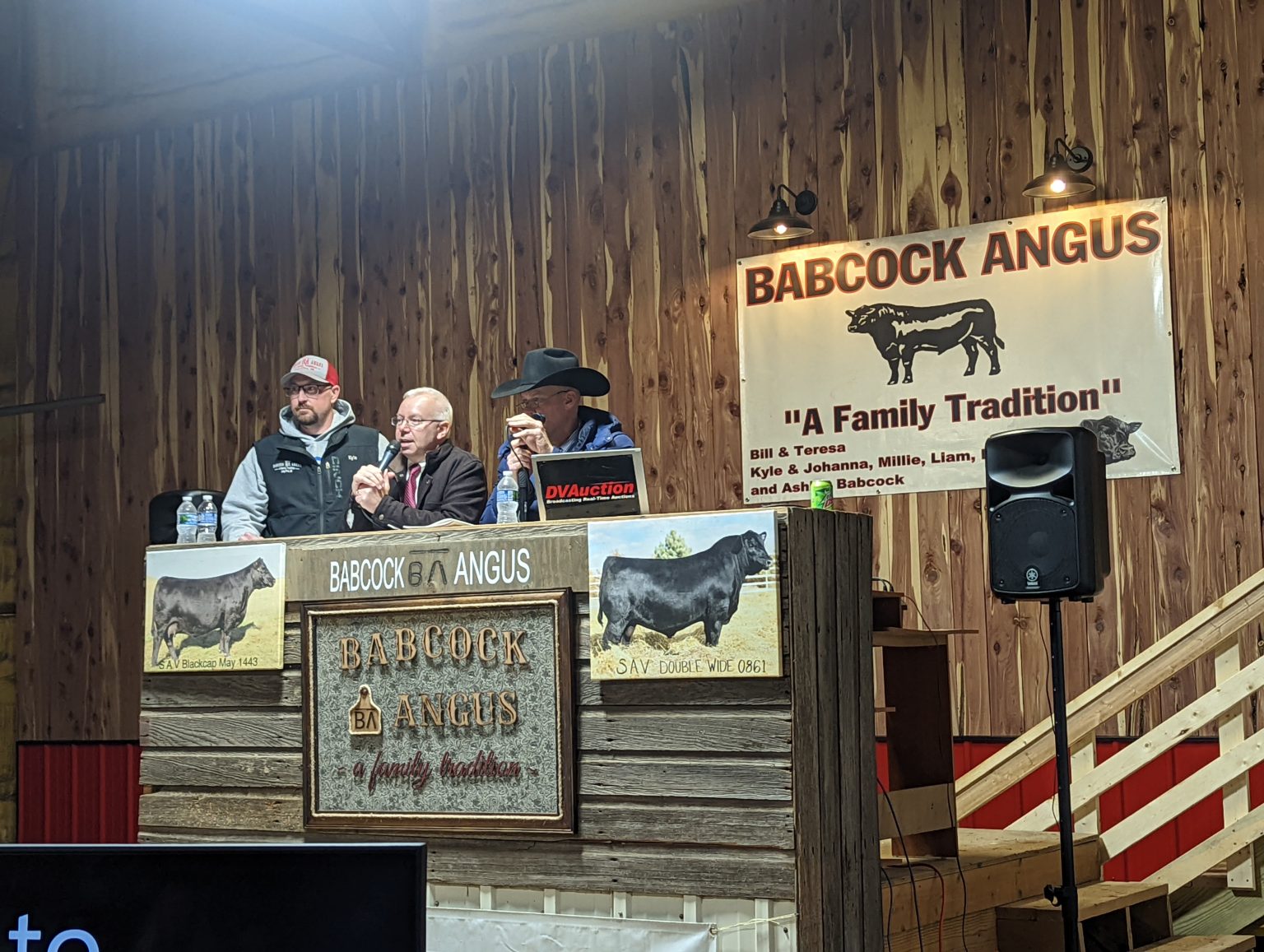 Babcock Angus Annual Bull and Female Sale | TSLN.com