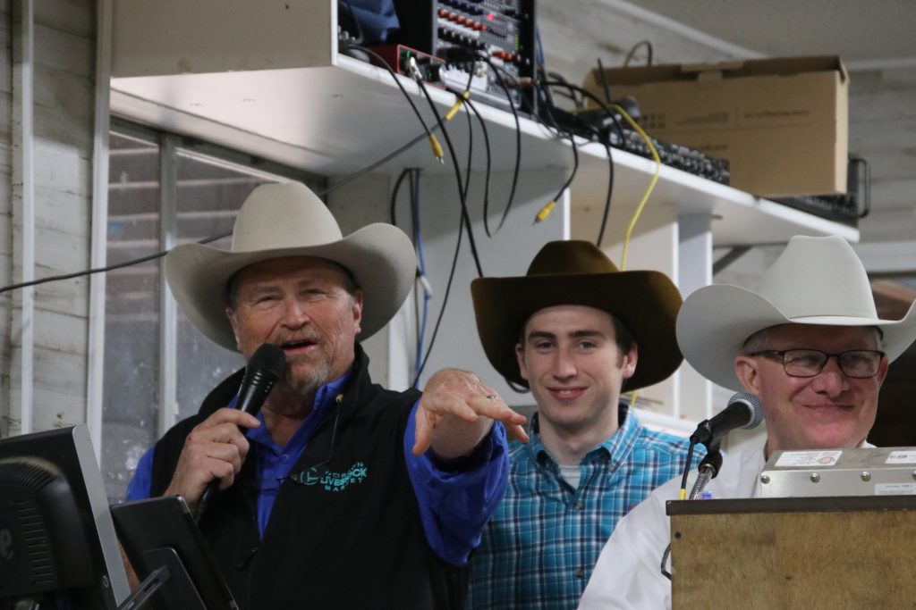 Marcy Livestock 63rd Annual Angus Bull & Female Sale | TSLN.com
