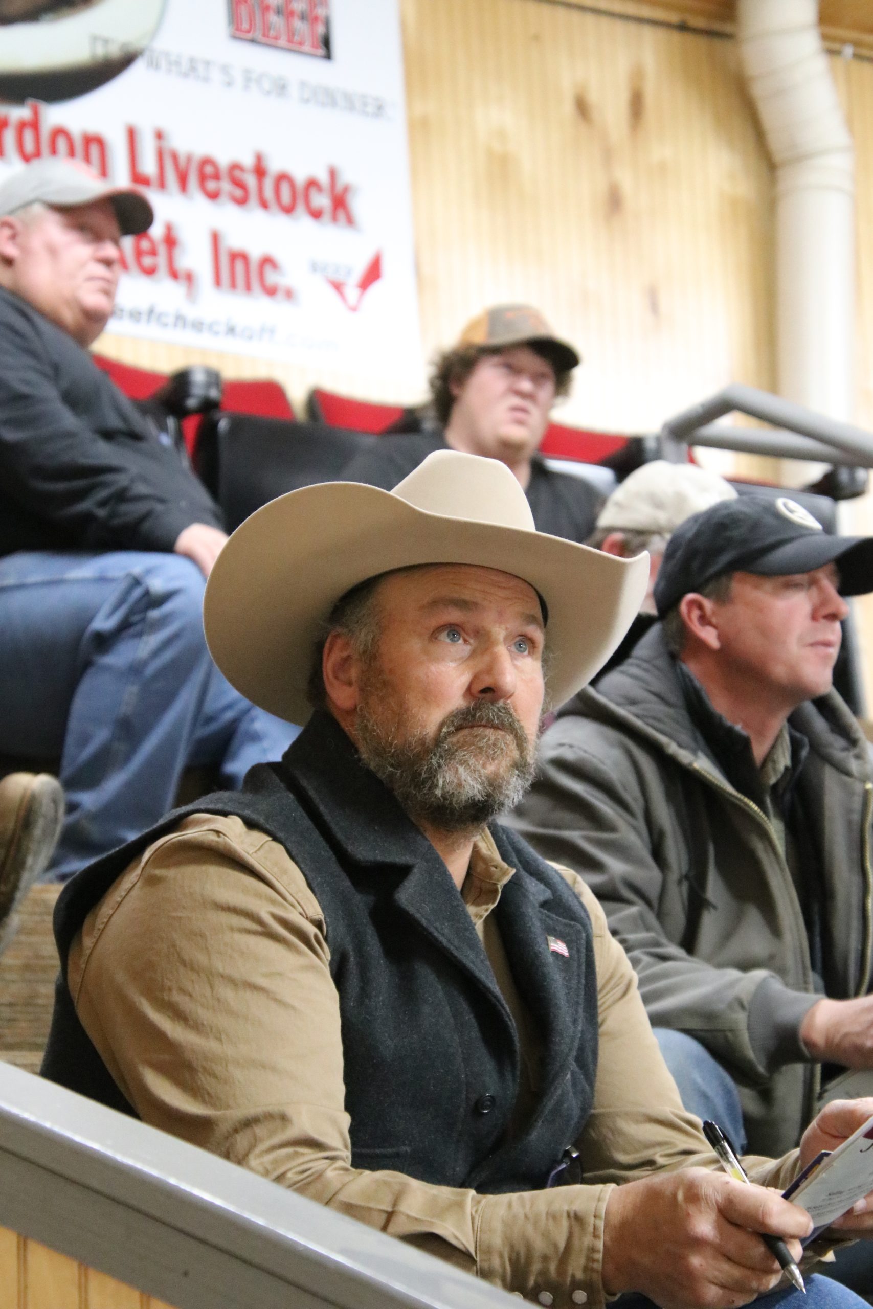 Marcy Livestock 63rd Annual Angus Bull & Female Sale | TSLN.com