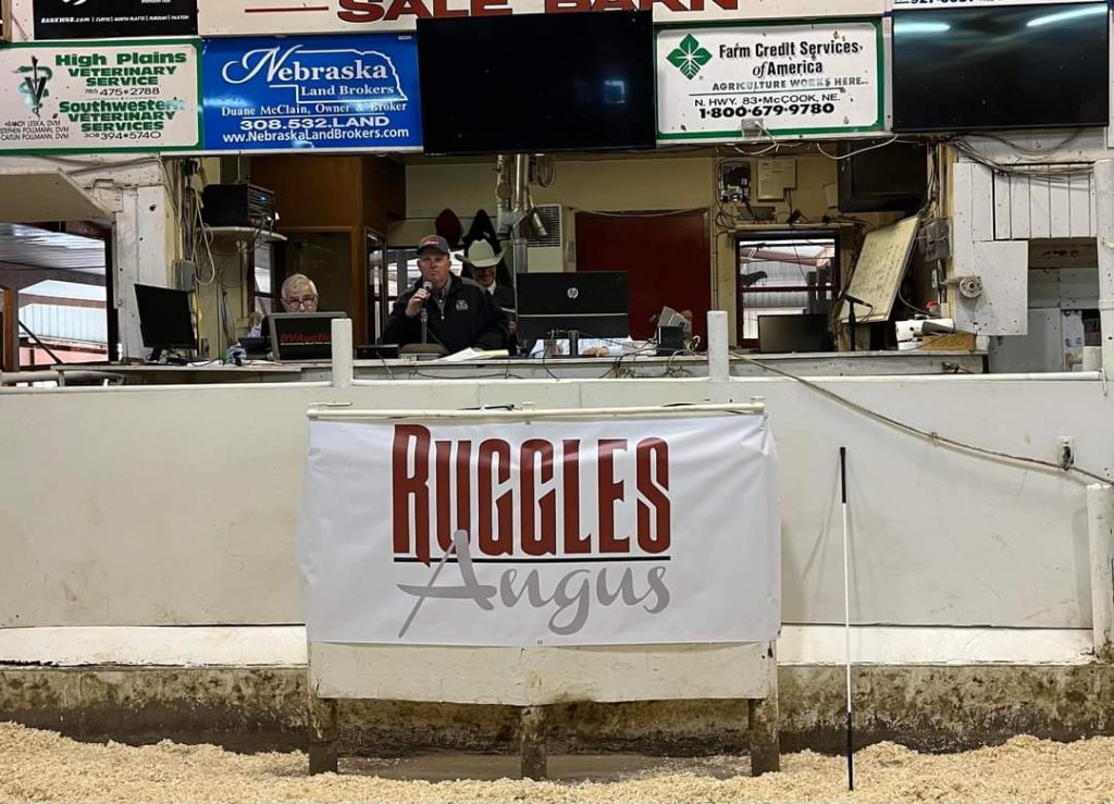 Ruggles Angus Annual Production Sale | TSLN.com