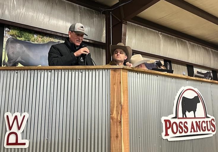 Poss Angus Annual Bull Sale | TSLN.com