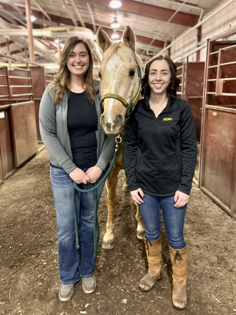 NDSU Bison Strides Program wins three regional awards | TSLN.com