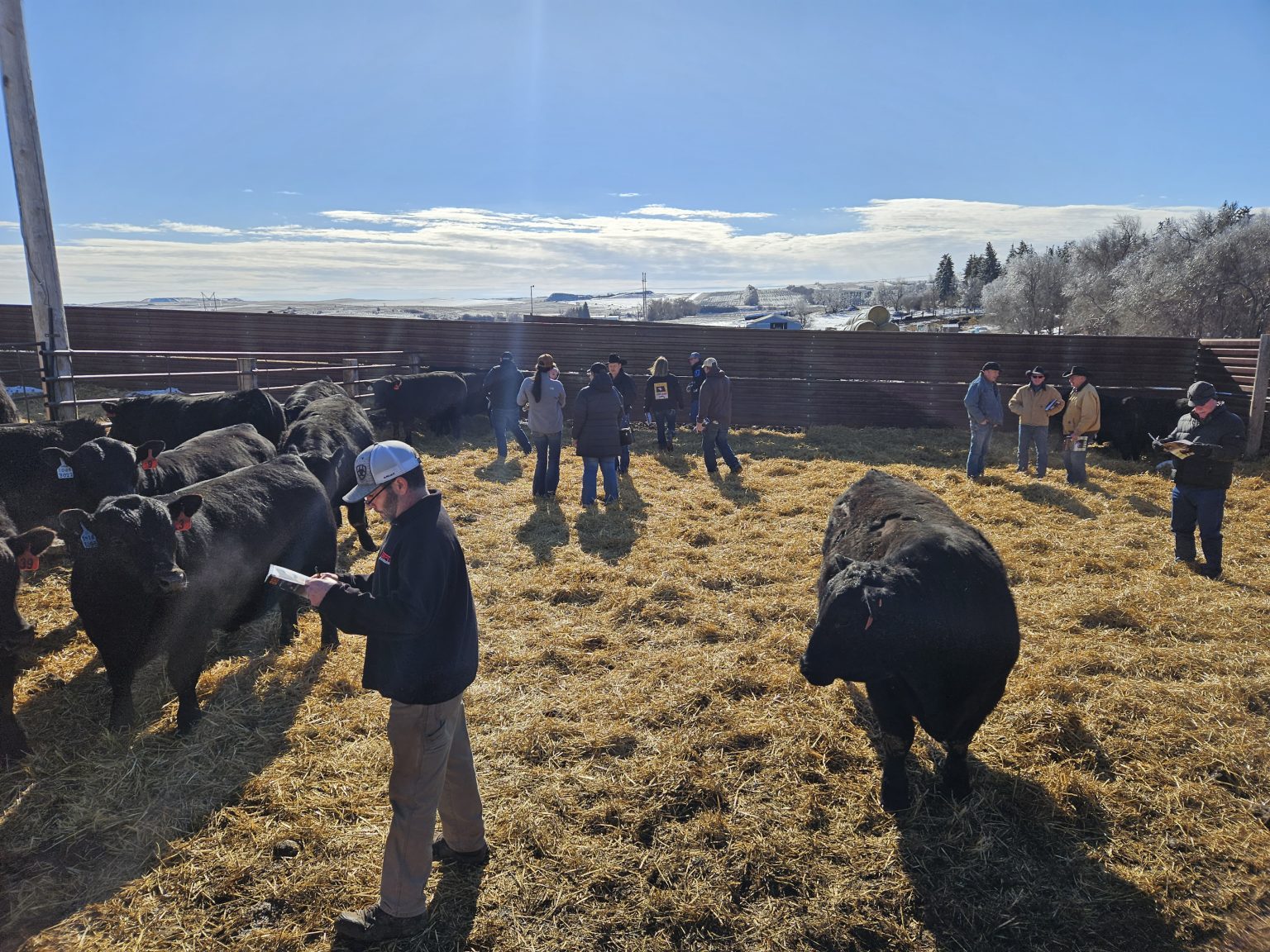 Brown Angus Ranch | TSLN.com
