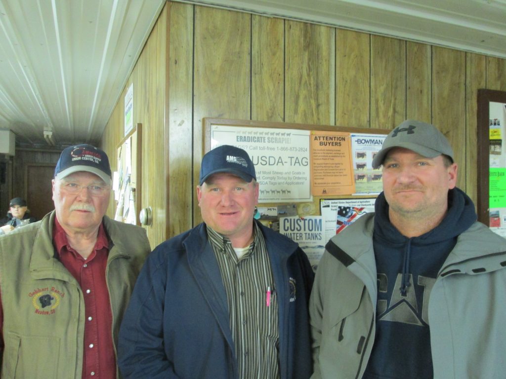 Sletten Angus 36th Annual Sale | TSLN.com