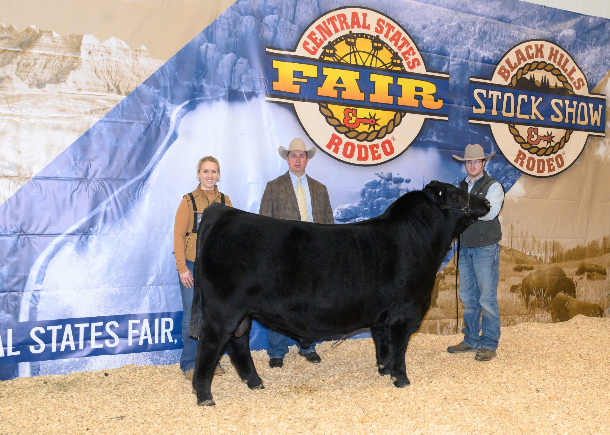 2024 Black Hills Stock Show cattle breed winners | TSLN.com