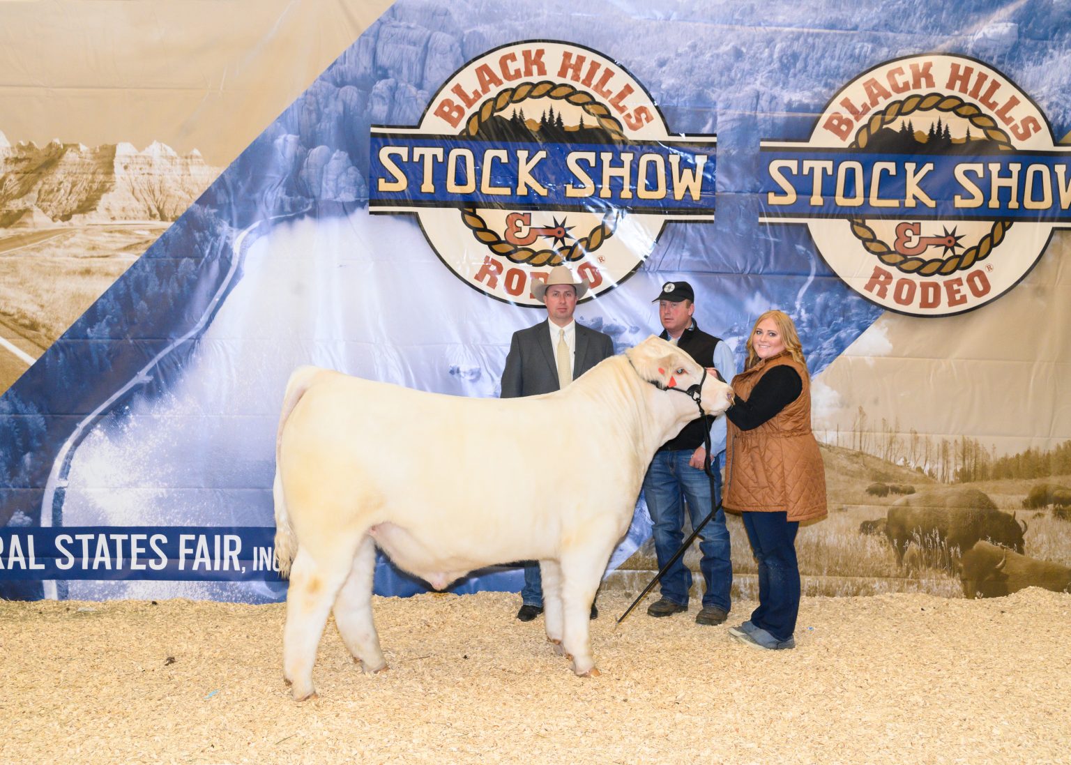 2024 Black Hills Stock Show cattle breed winners | TSLN.com