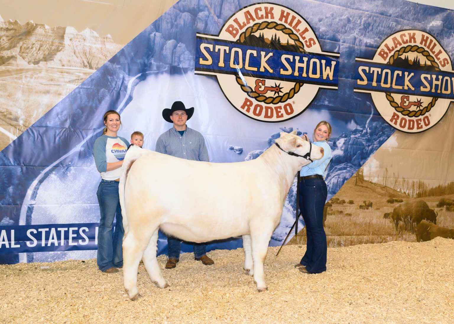 2024 Black Hills Stock Show cattle breed winners | TSLN.com