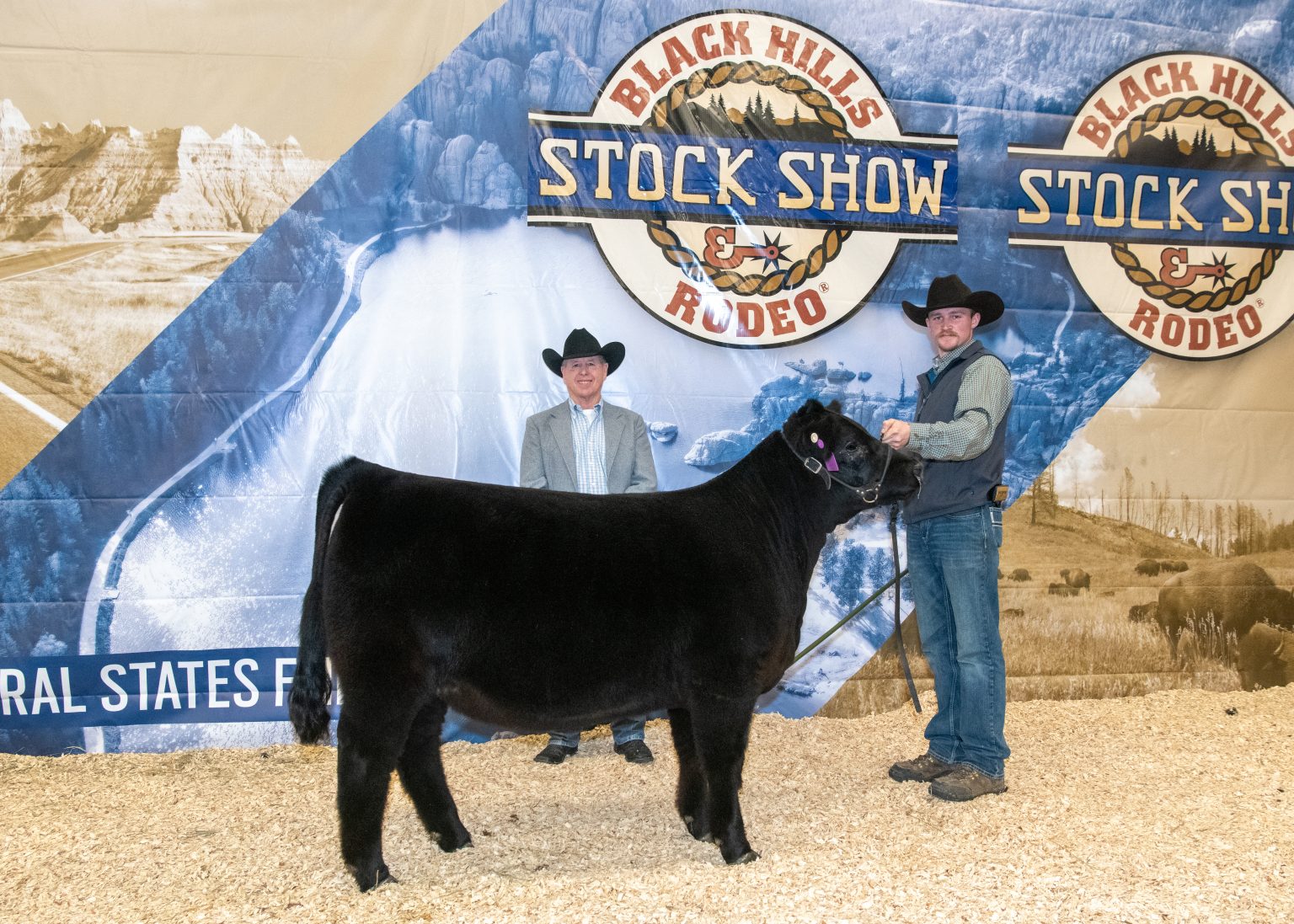 2024 Black Hills Stock Show cattle breed winners | TSLN.com
