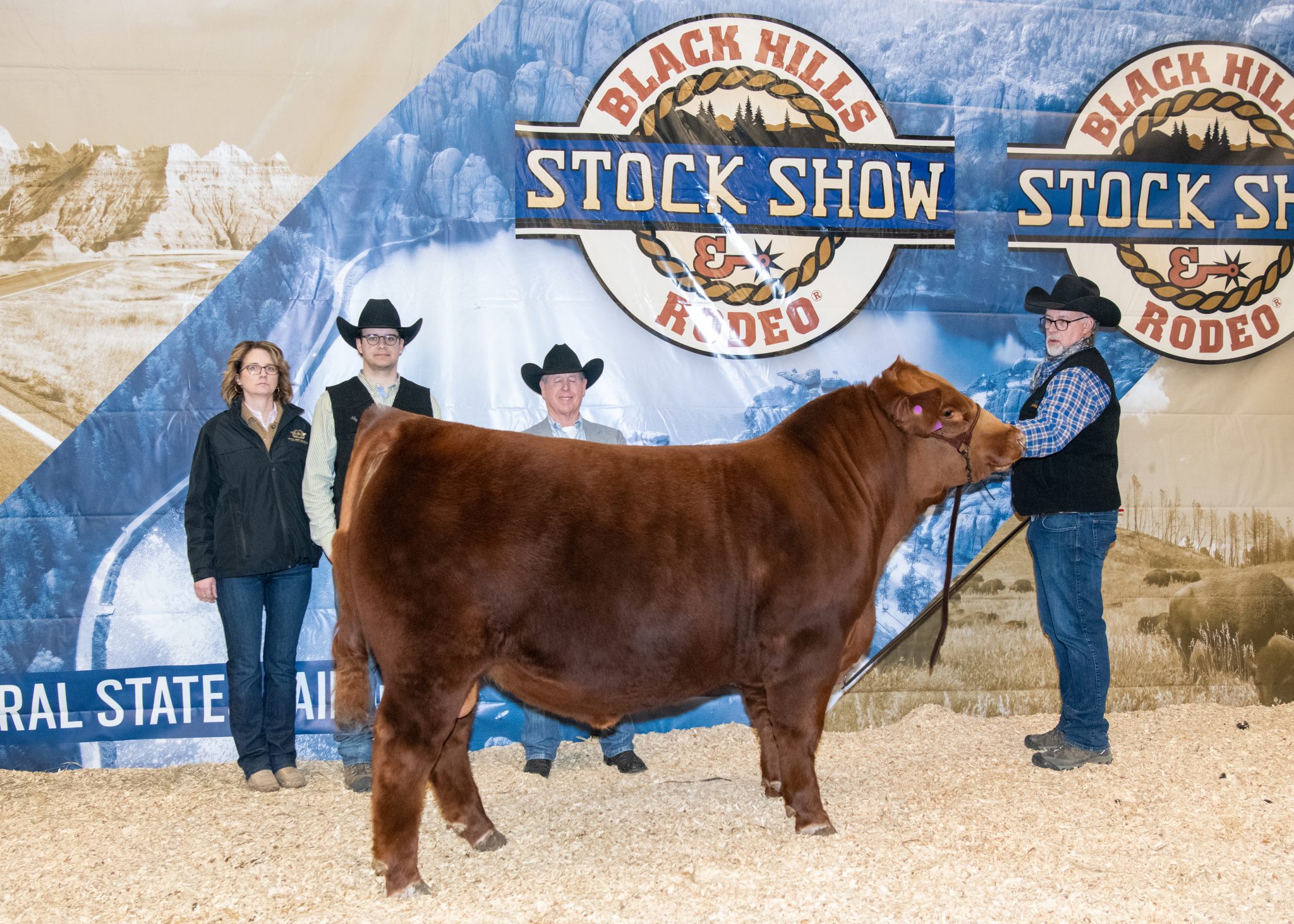 2024 Black Hills Stock Show cattle breed winners | TSLN.com
