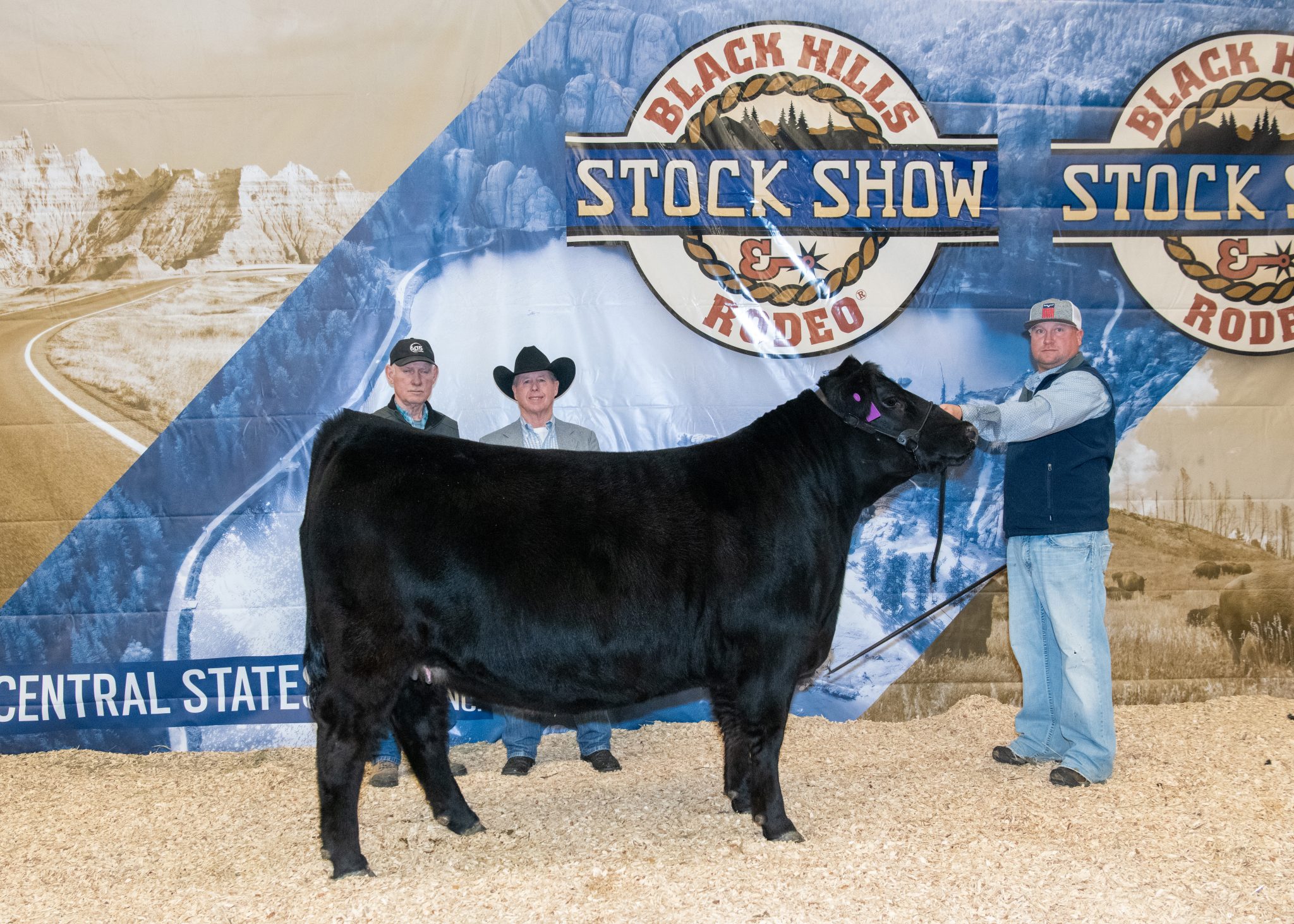 2024 Black Hills Stock Show cattle breed winners | TSLN.com