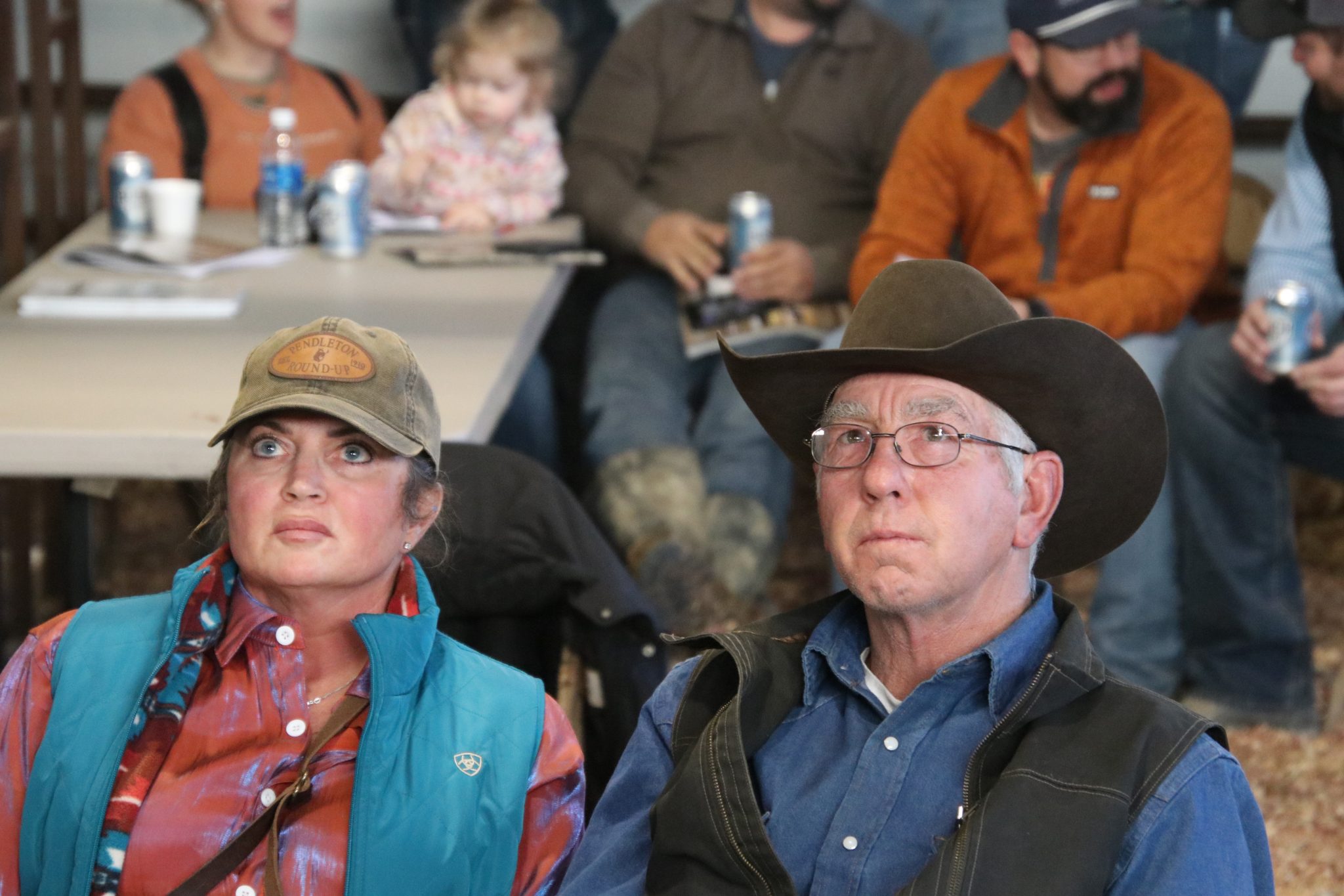 Petersek Family RAVEN ANGUS Production Sale | TSLN.com