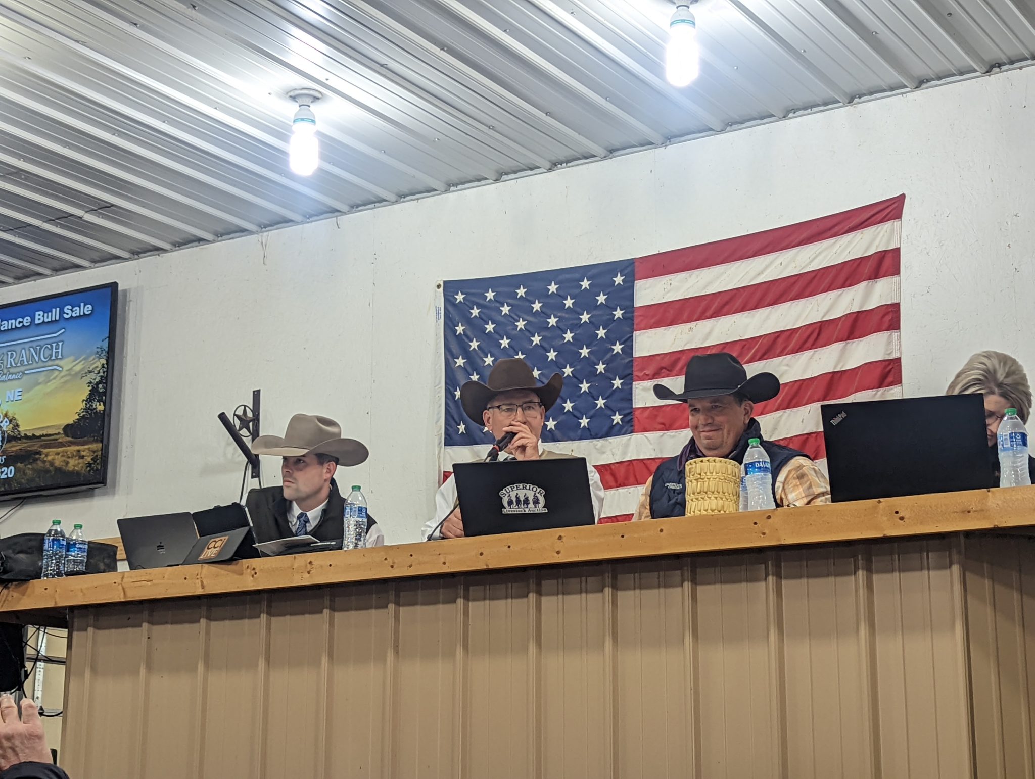 Hoffman Ranch Annual Spring Bull Sale | TSLN.com