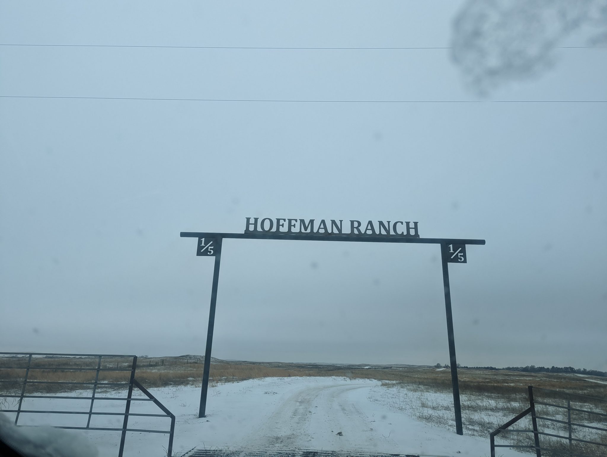 Hoffman Ranch Annual Spring Bull Sale | TSLN.com