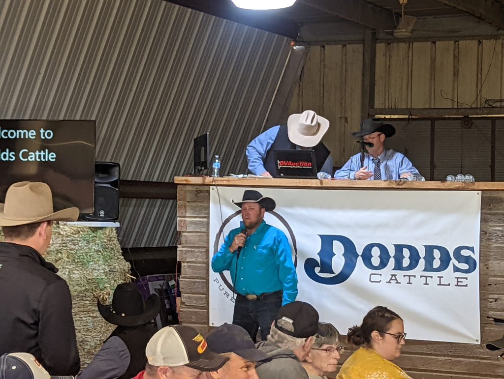 Dodds Cattle Annual Production Sale | TSLN.com