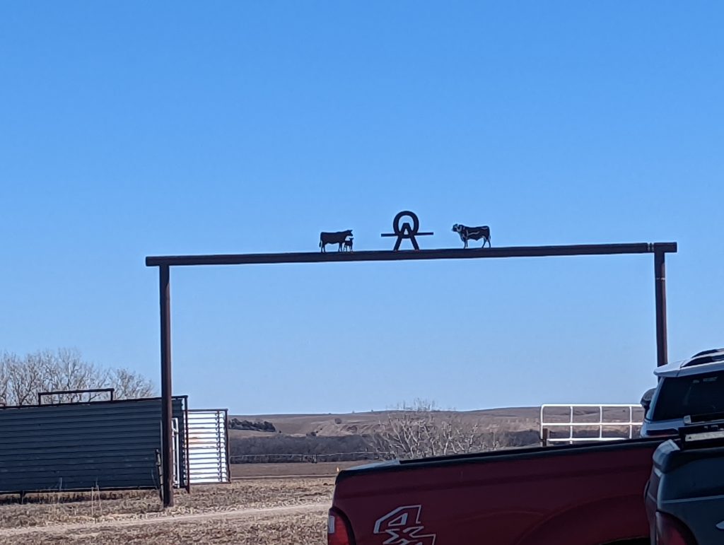 Ostrand Angus 23rd Annual Production Sale | TSLN.com