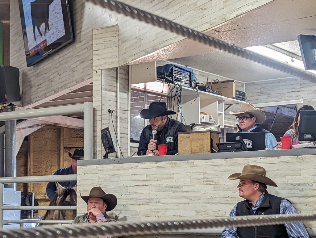 HoosCow Angus Annual Bull Sale | TSLN.com