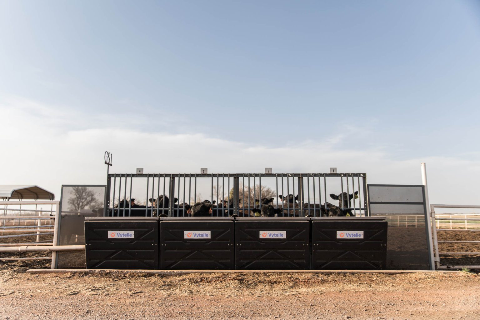 Blockchain shifting to communicate beyond traceability — promoting the ...