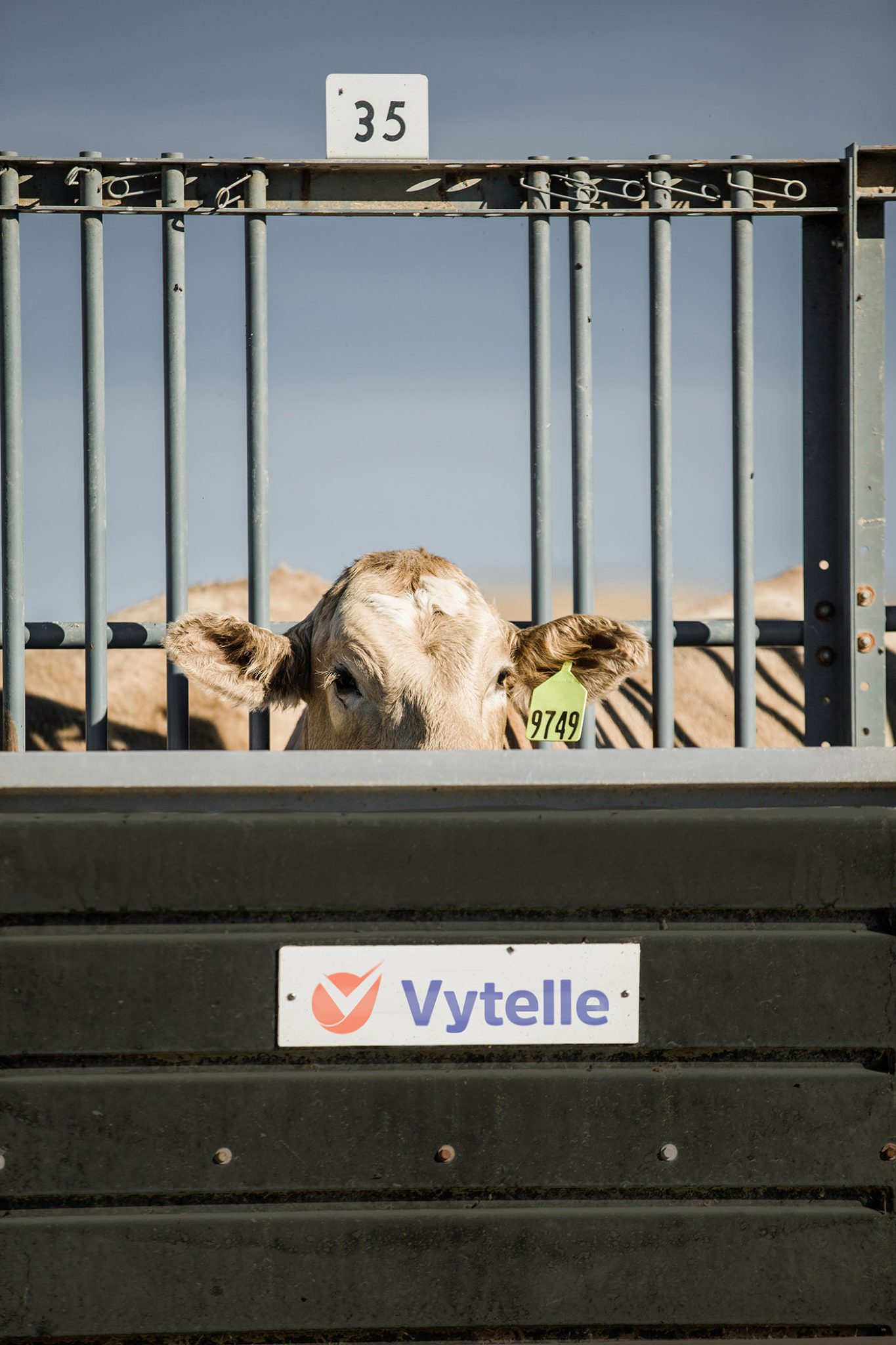 Blockchain shifting to communicate beyond traceability — promoting the ...