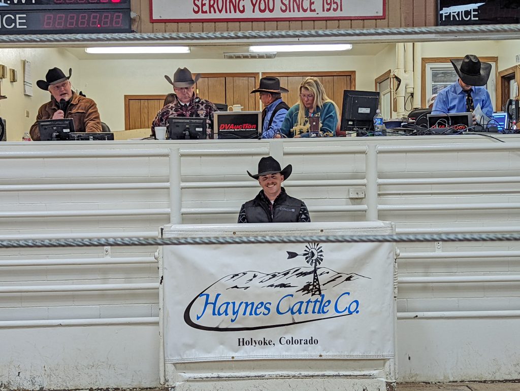 Haynes Cattle Co “Working Bull” Sale | TSLN.com