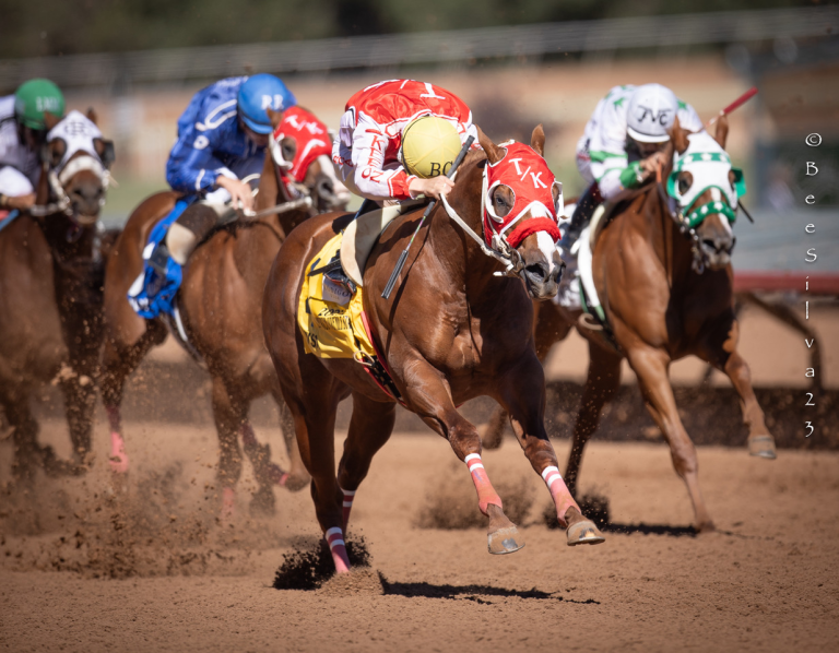 Microchips Identify Racing American Quarter Horses | TSLN.com