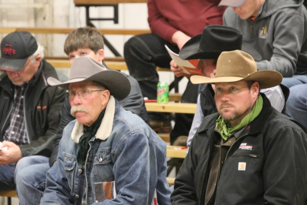 Symens Brothers 44th Annual “Muscle Up for Profit” Limousin Sale | TSLN.com