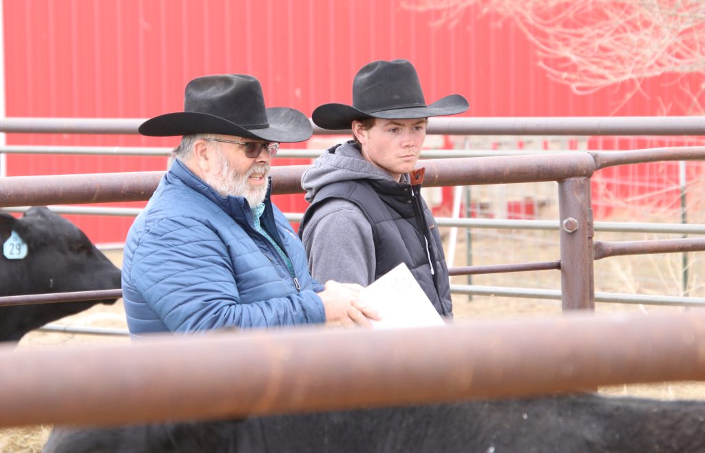 Millar Angus 23rd Annual Bull Sale | TSLN.com