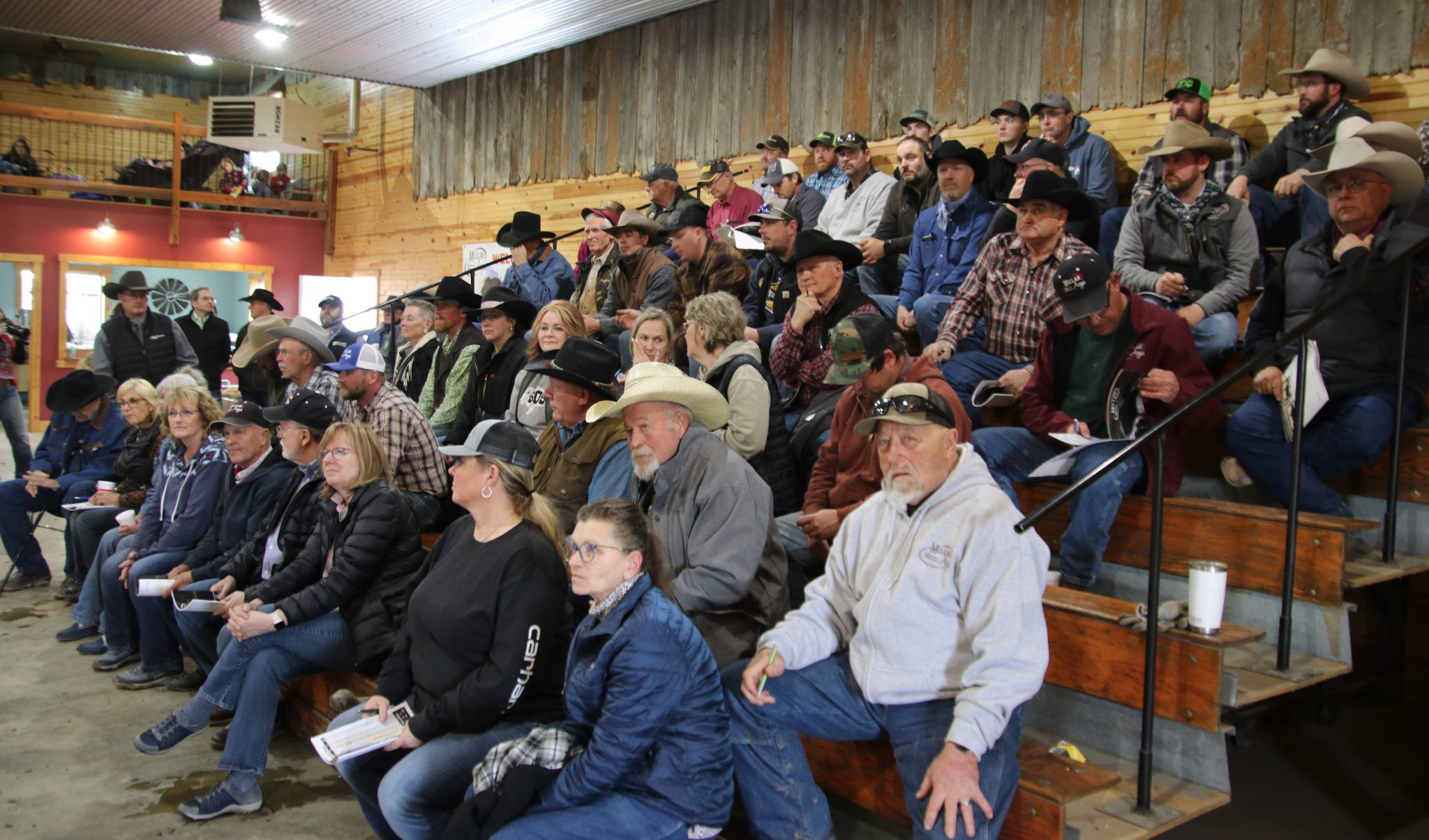 Millar Angus 23rd Annual Bull Sale | TSLN.com