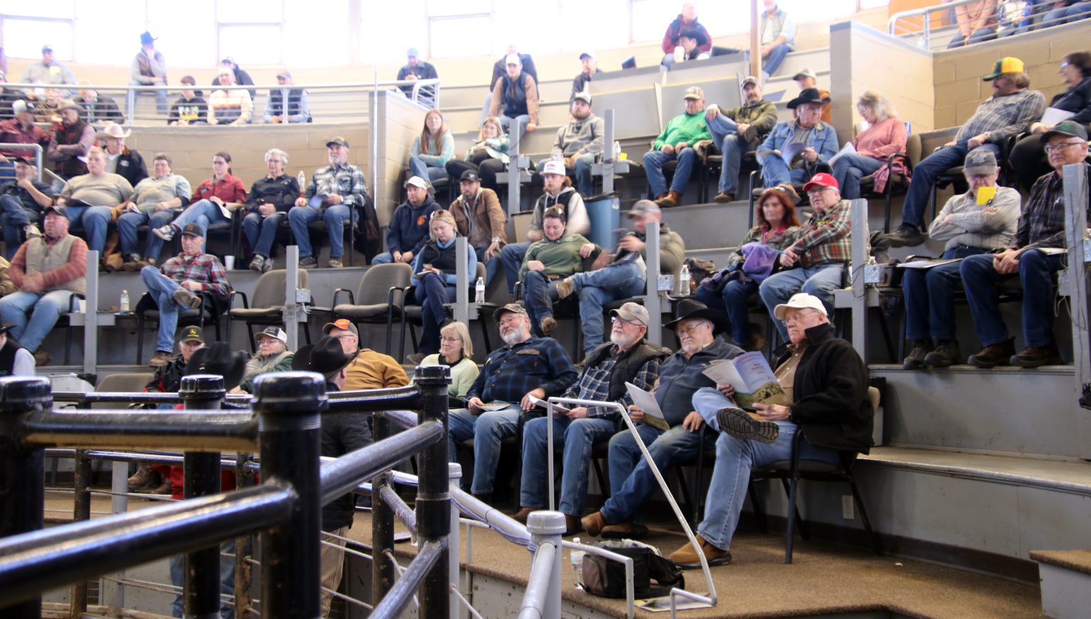Tokach Angus Ranch Cutting Edge Genetics 49th Annual Production Sale ...