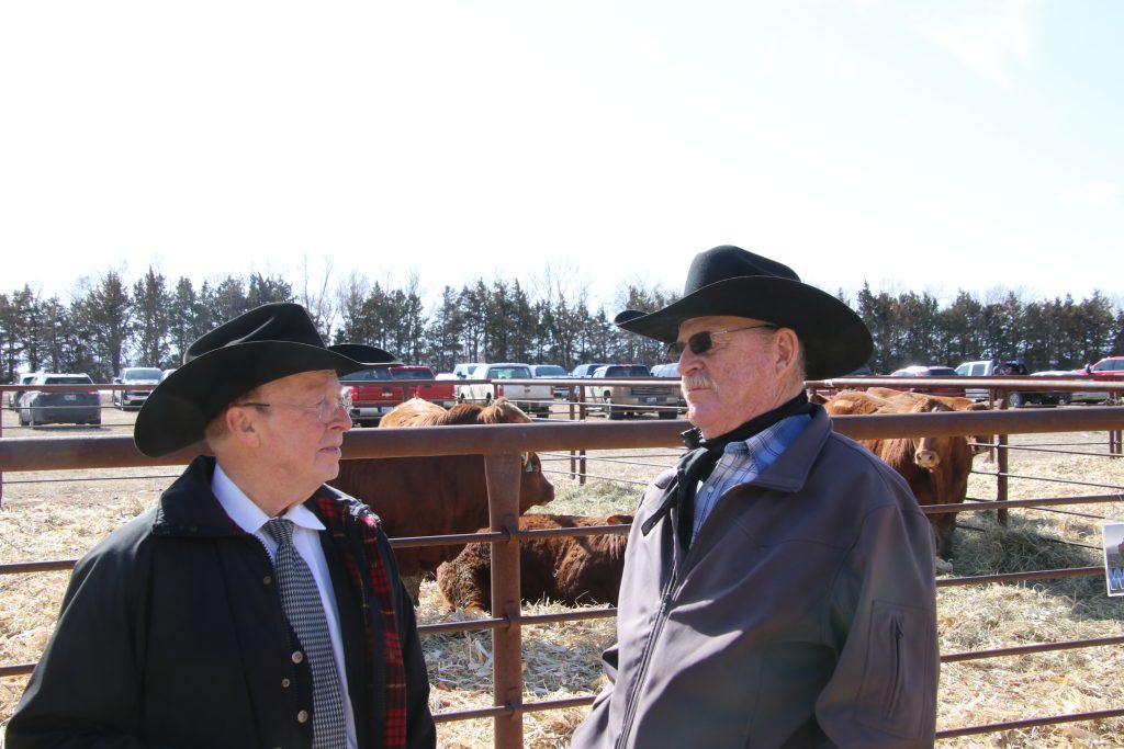 Wieczorek Limousin Bull Sale | TSLN.com