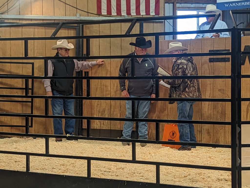 Warner Beef Genetic Investment Bull Sale | TSLN.com