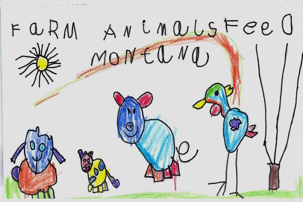 Winners of Montana Ag in Color Drawing Contest announced | TSLN.com