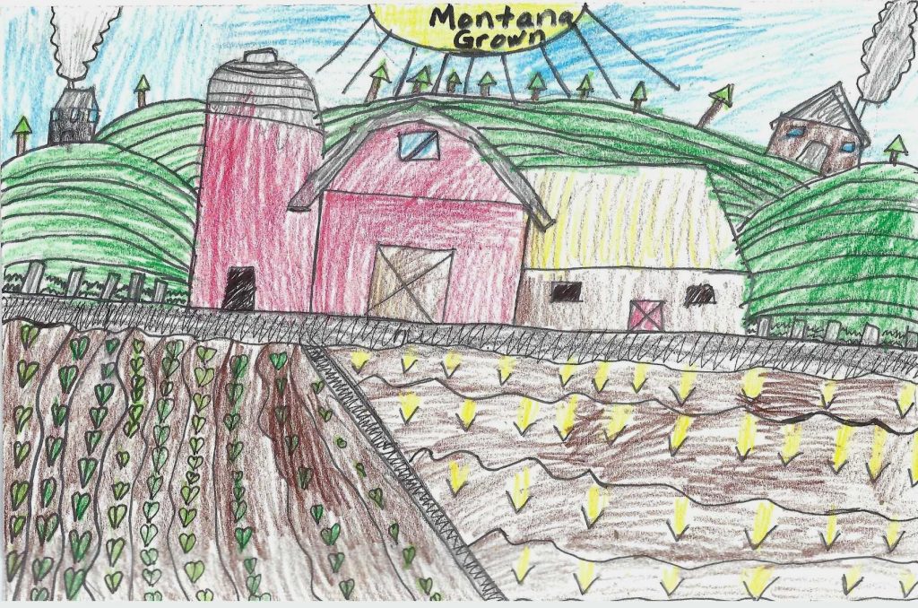 Winners of Montana Ag in Color Drawing Contest announced | TSLN.com