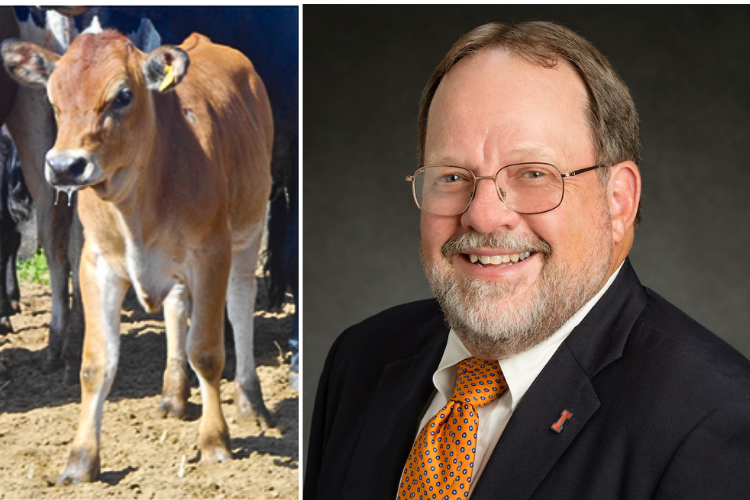 Milk to the rescue for diabetics? Illinois project creates first ...