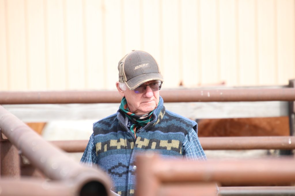 Feist Gelbvieh 36th Annual Bull Sale | TSLN.com