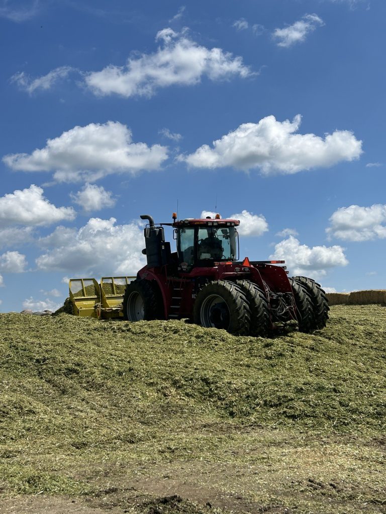 2024 Forage | Maximizing Silage | TSLN.com