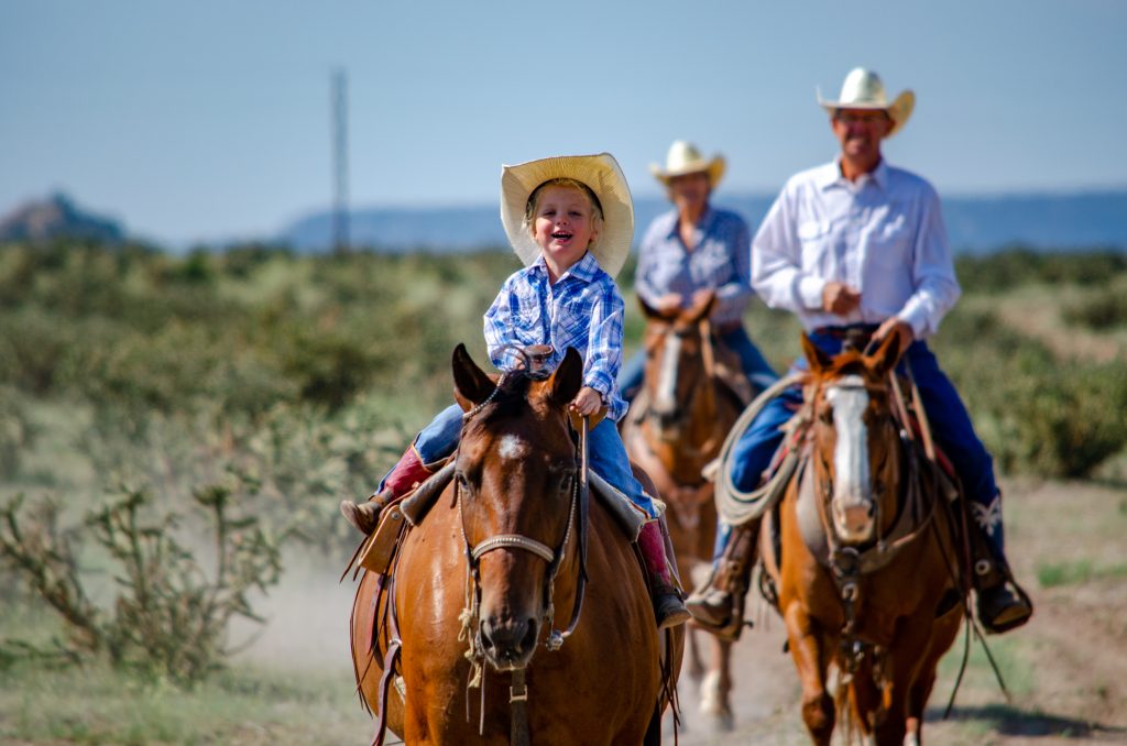2024 Forage | Maintaining Forage for Livestock and Wildlife | TSLN.com