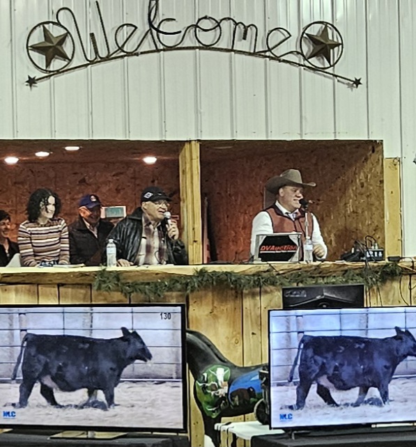 3C/NLC 53rd Annual Bull Sale | TSLN.com
