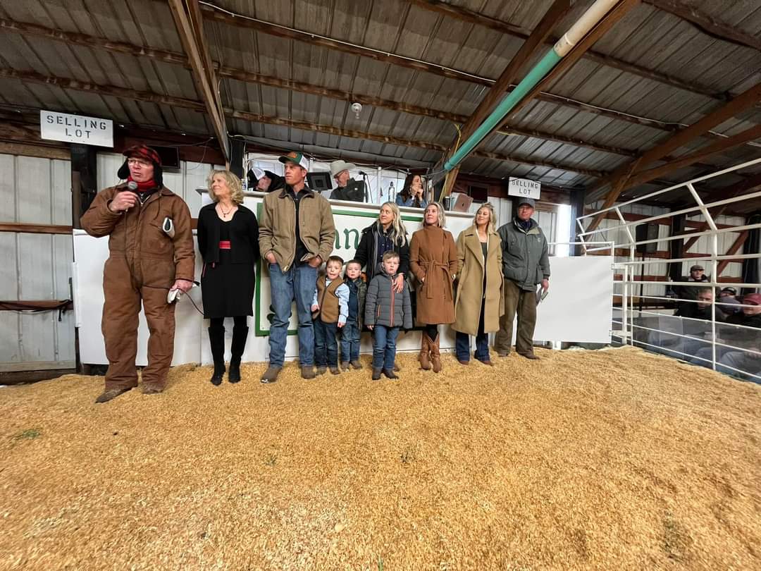 Connealy Angus Spring Bull Sale | TSLN.com