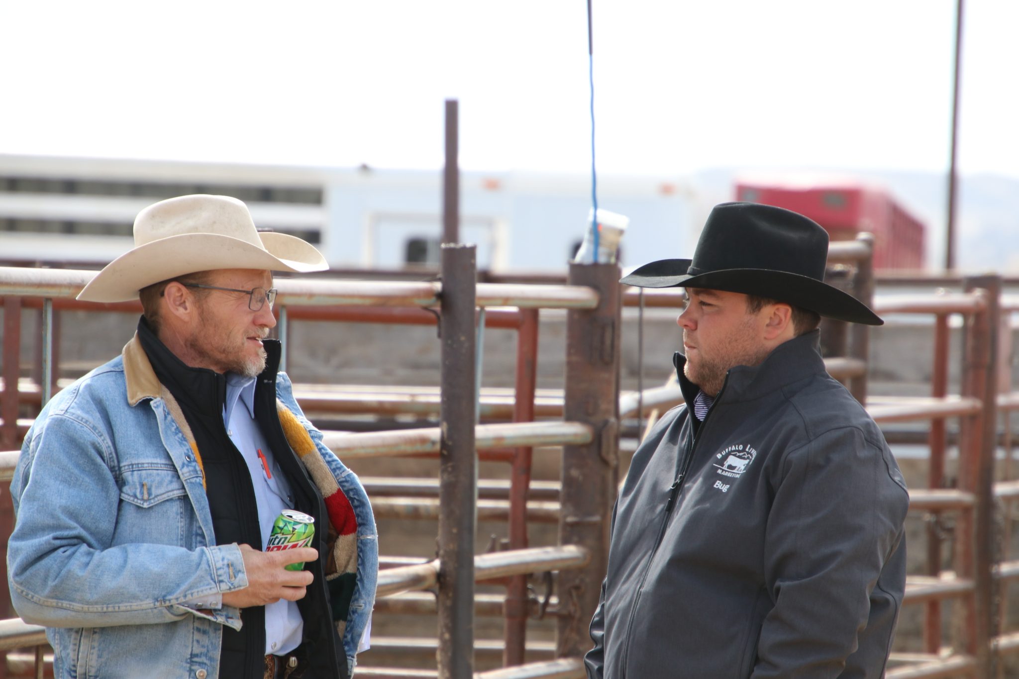 Sinclair Cattle Co. Annual Production Sale | TSLN.com