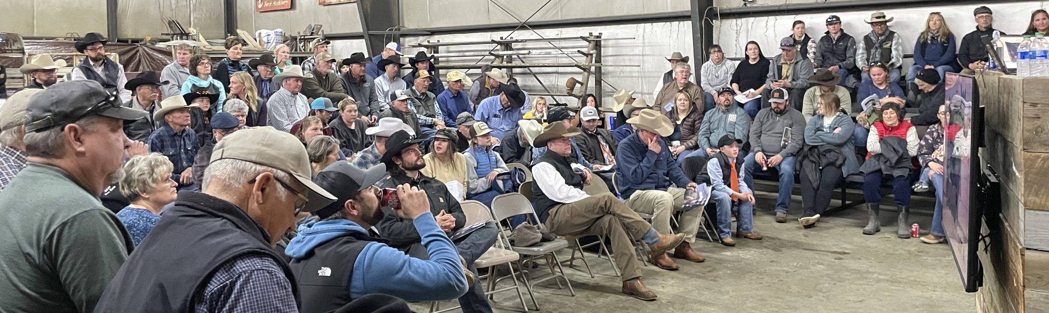 Stevenson Angus Ranch | TSLN.com