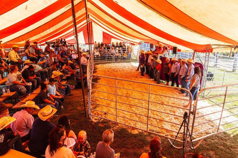 McPherson Auction & Realty team wins 2026 BHSS Ranch Rodeo | TSLN.com